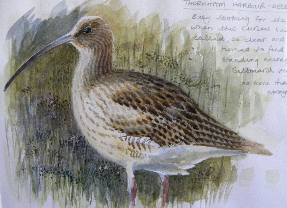 The Artists - The Garage Studio Art Gallery Norfolk